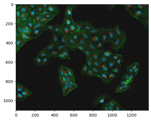 DIP-Introductory python tutorials for image processing(1-21)-Python Basics | Zi-Zi's Journey
